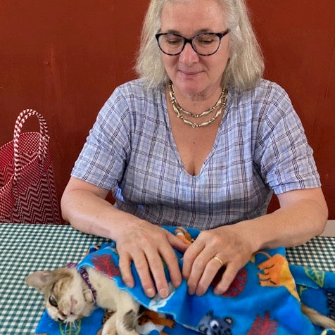 Alison Palmer – Schaller Gallery