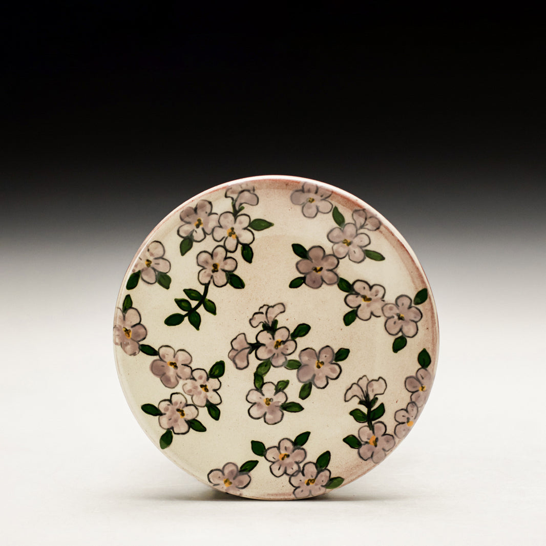 Jenn Cole – Schaller Gallery